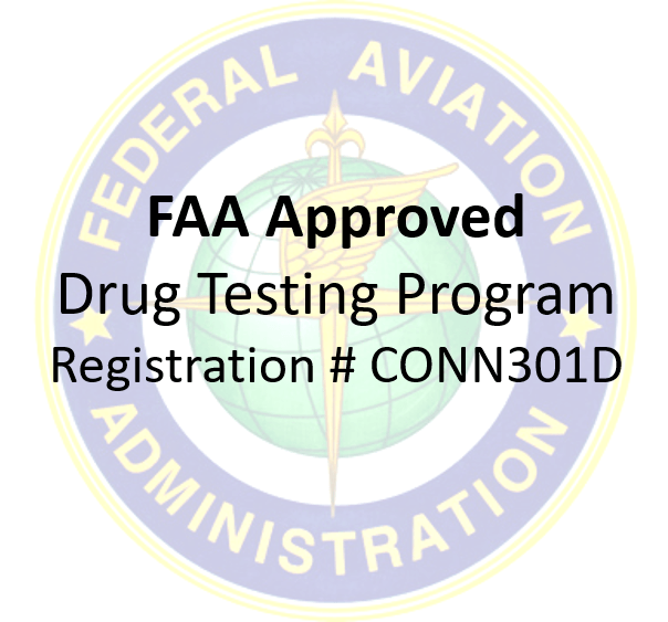 Capabilities – Intech Aviation Services